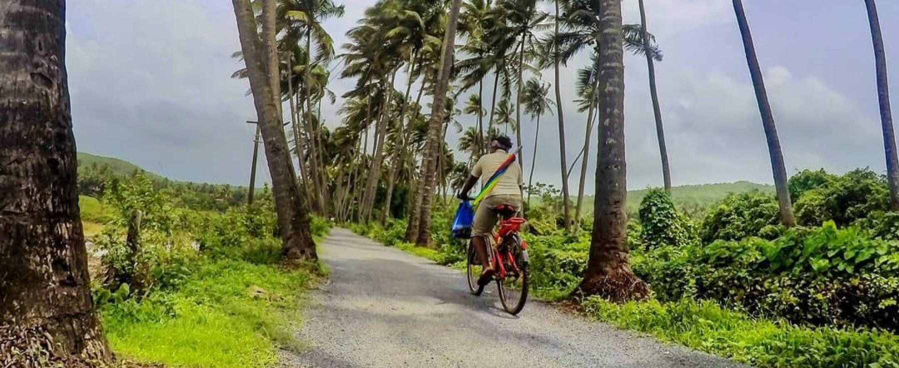 Incredible Goa Tour Travel Holiday Trip Vacation Packages India Beach ...